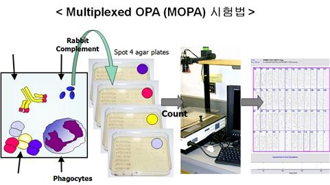 백신주권 '한걸음 앞으로'...식약처,‘면역항체 측정시험법’과 ‘표준혈청’ 확립